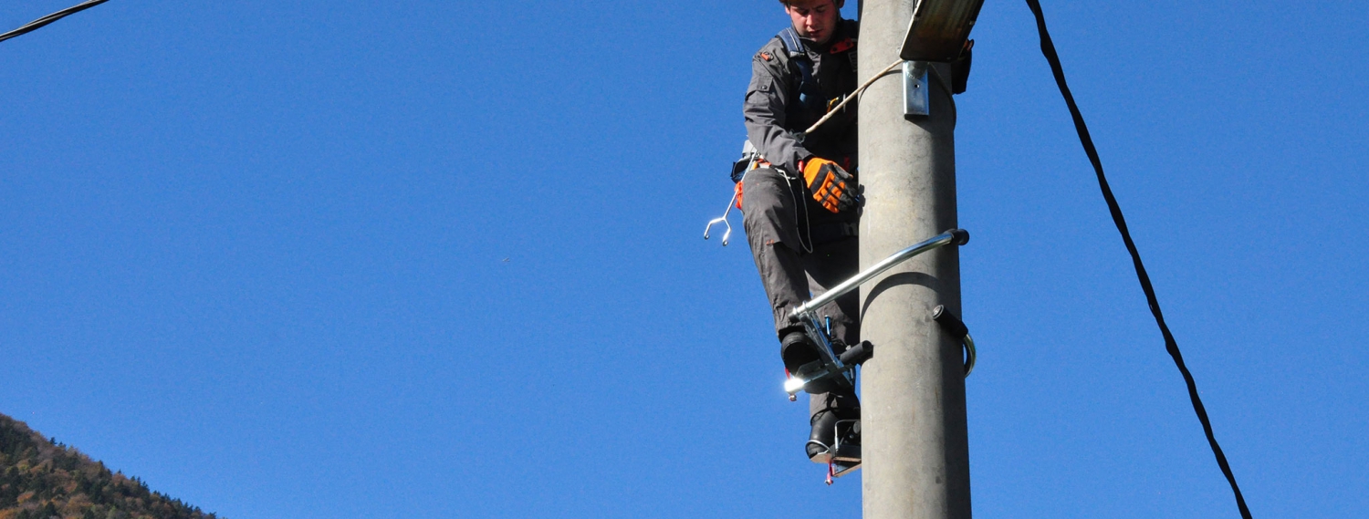 Plemont - Pole Climbers and Tree Climbing Gear